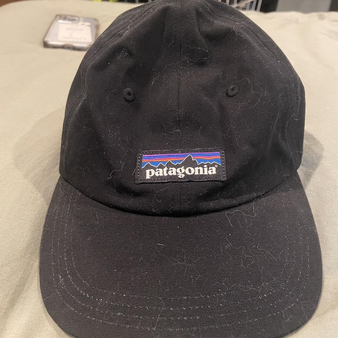 Patagonia cap retail is for $40.00 Selling for $20.00 - Depop