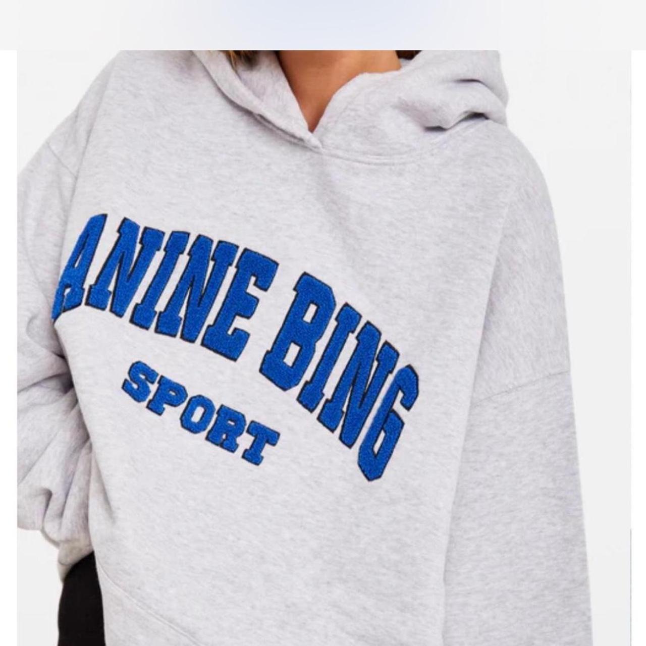 Anine bing tyler hoodie size M - Depop
