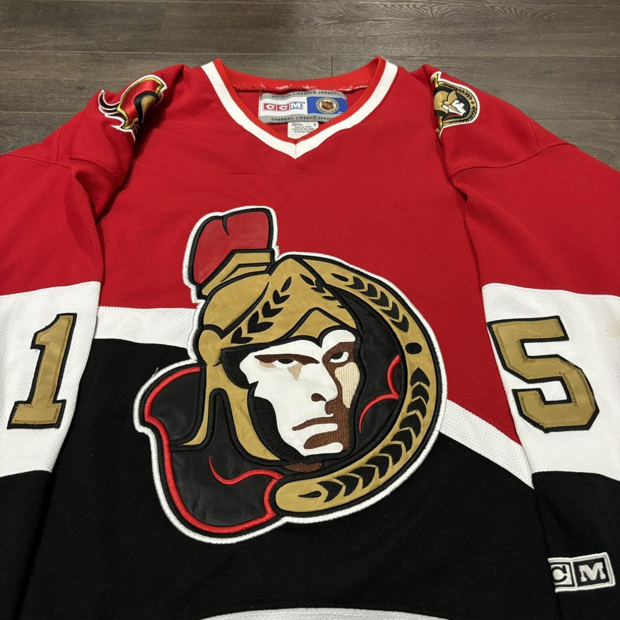 vintage ccm nhl Danny Heatley Ottawa senators jersey... - Depop