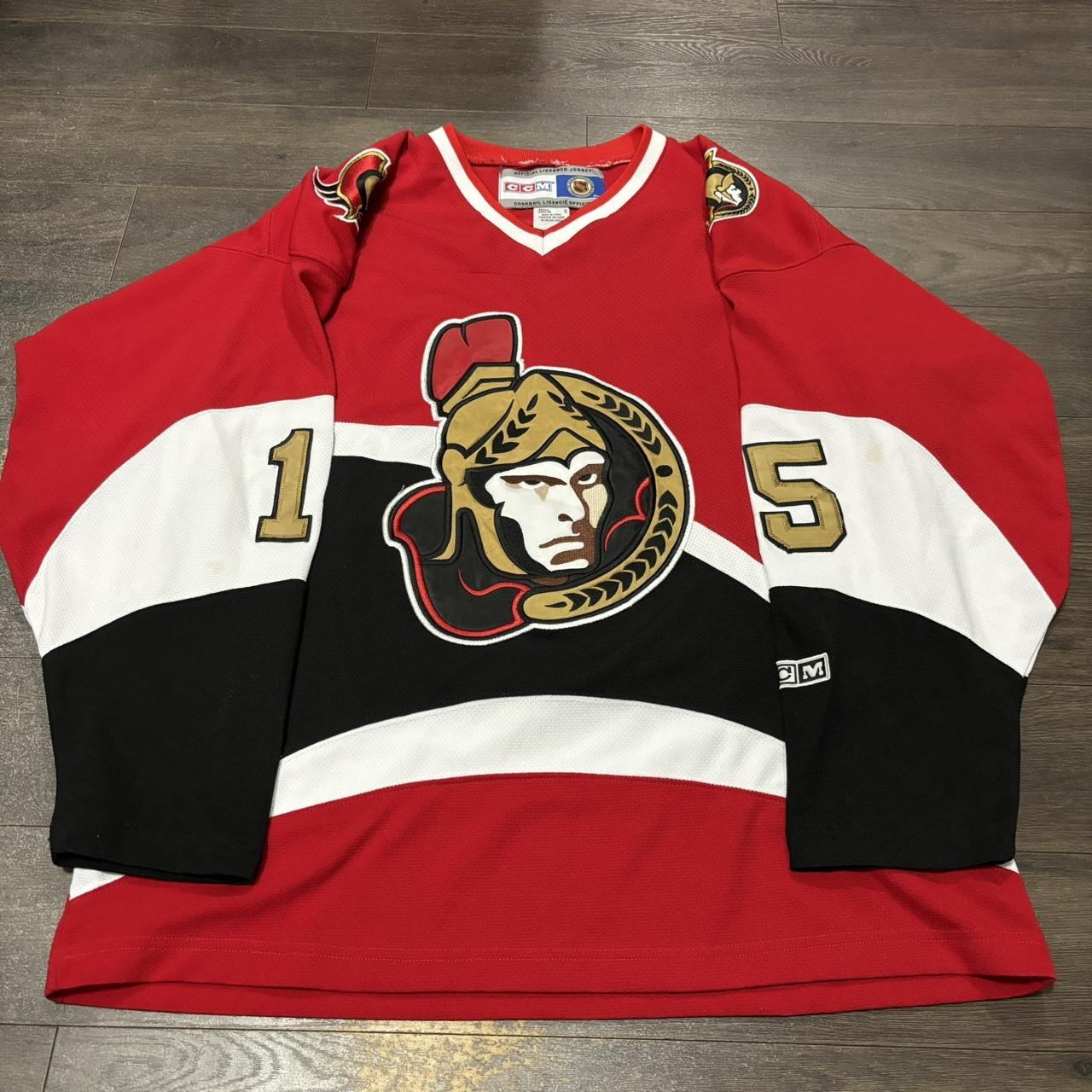 vintage ccm nhl Danny Heatley Ottawa senators jersey... - Depop