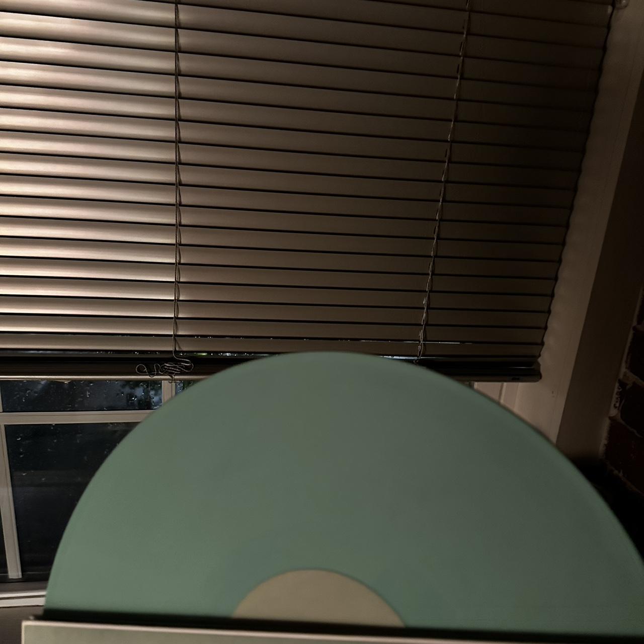 knuckle puck copacetic vinyl mint green (same as... - Depop