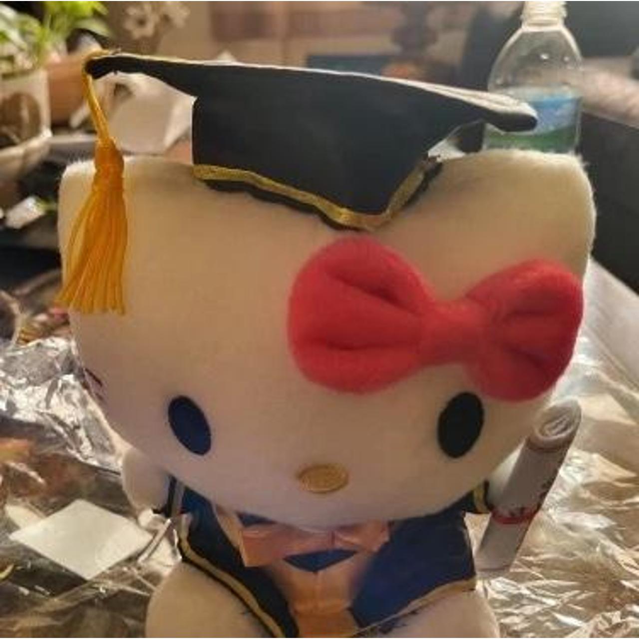 Graduation Hello Kitty Plush 🤍🪽 - Depop
