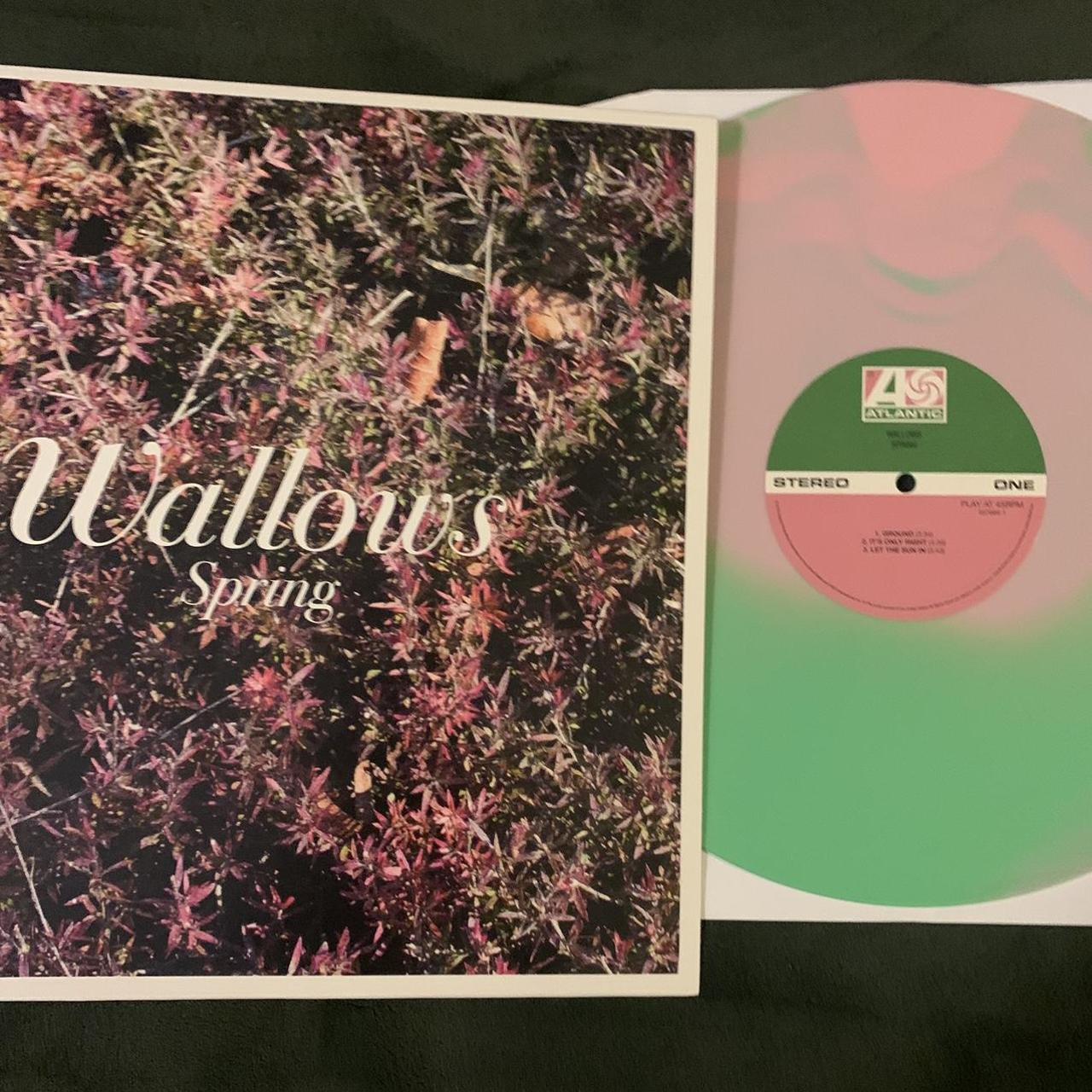 Wallows spring vinyl on green and pink record - Depop