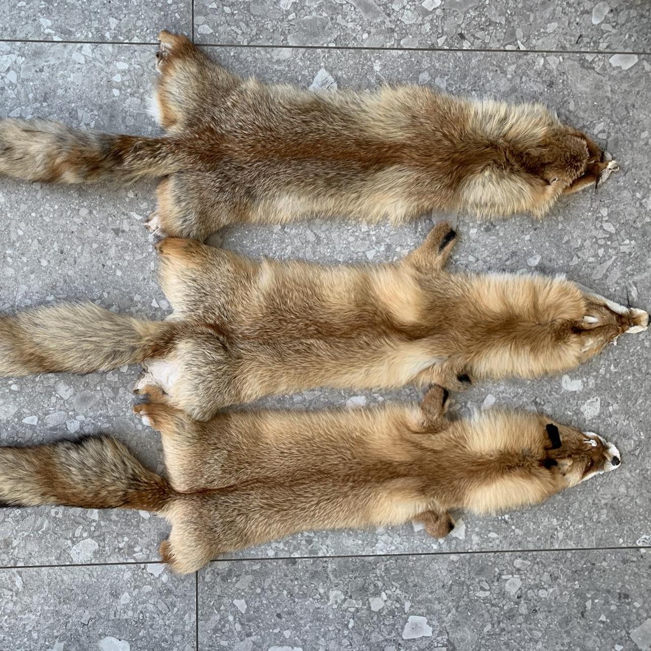 Soft mounted red fox fur stole SOLD PER PIECE - Depop