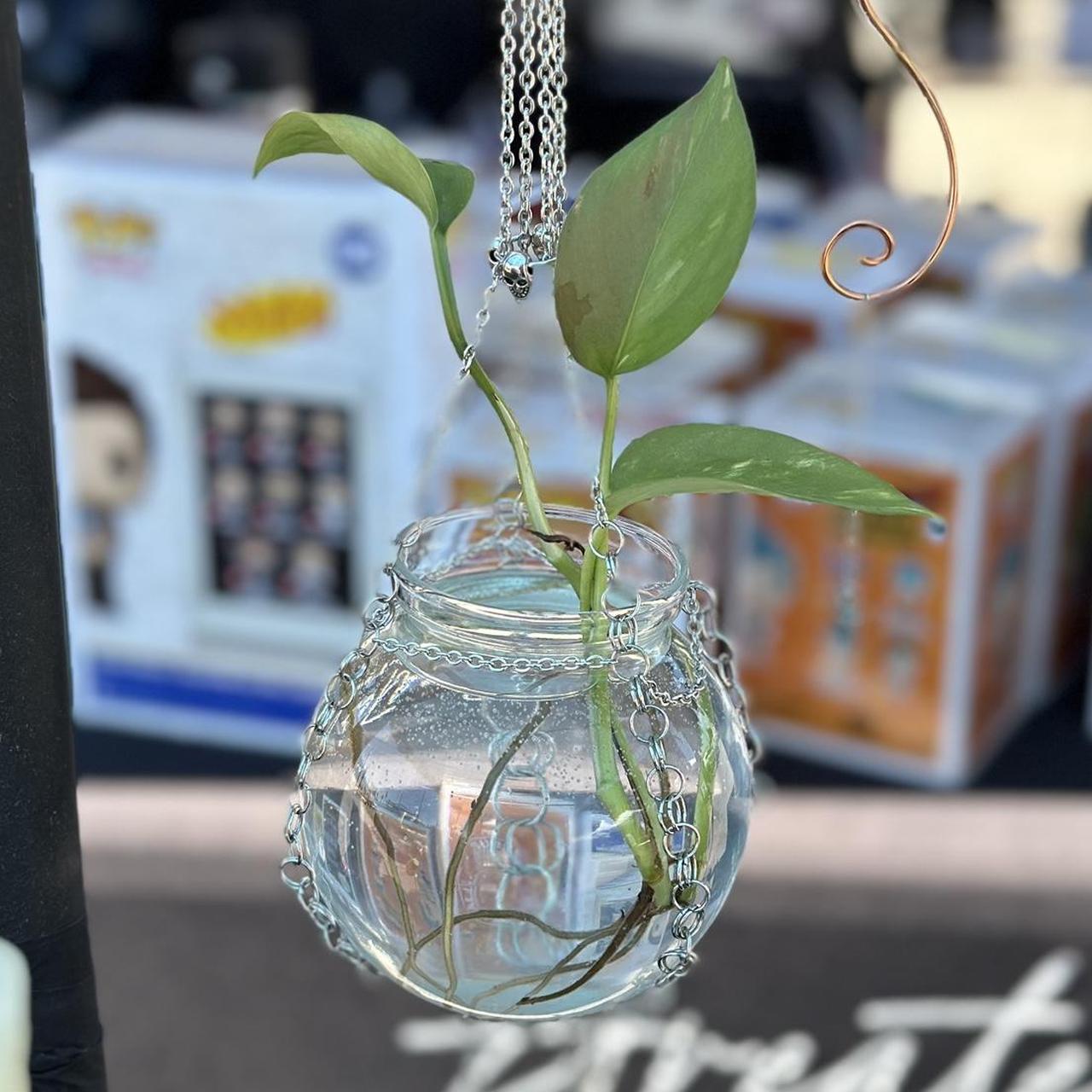 Handmade chainmail plant propagation hanging.... - Depop