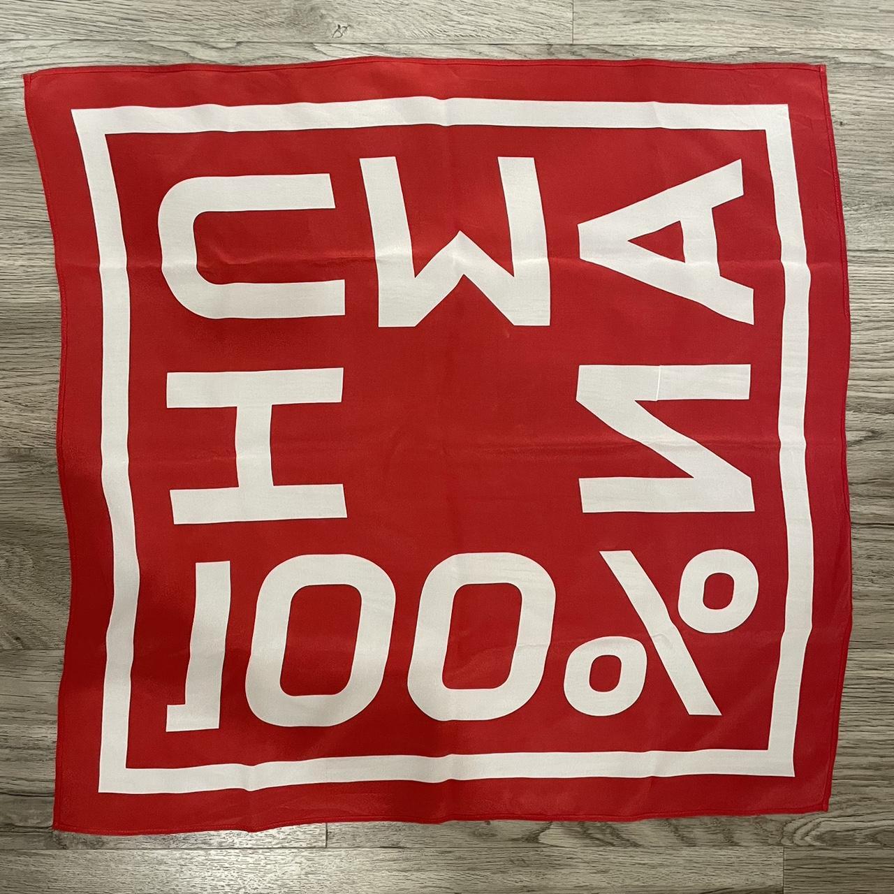 Everlane 100% Human Scarf - Depop