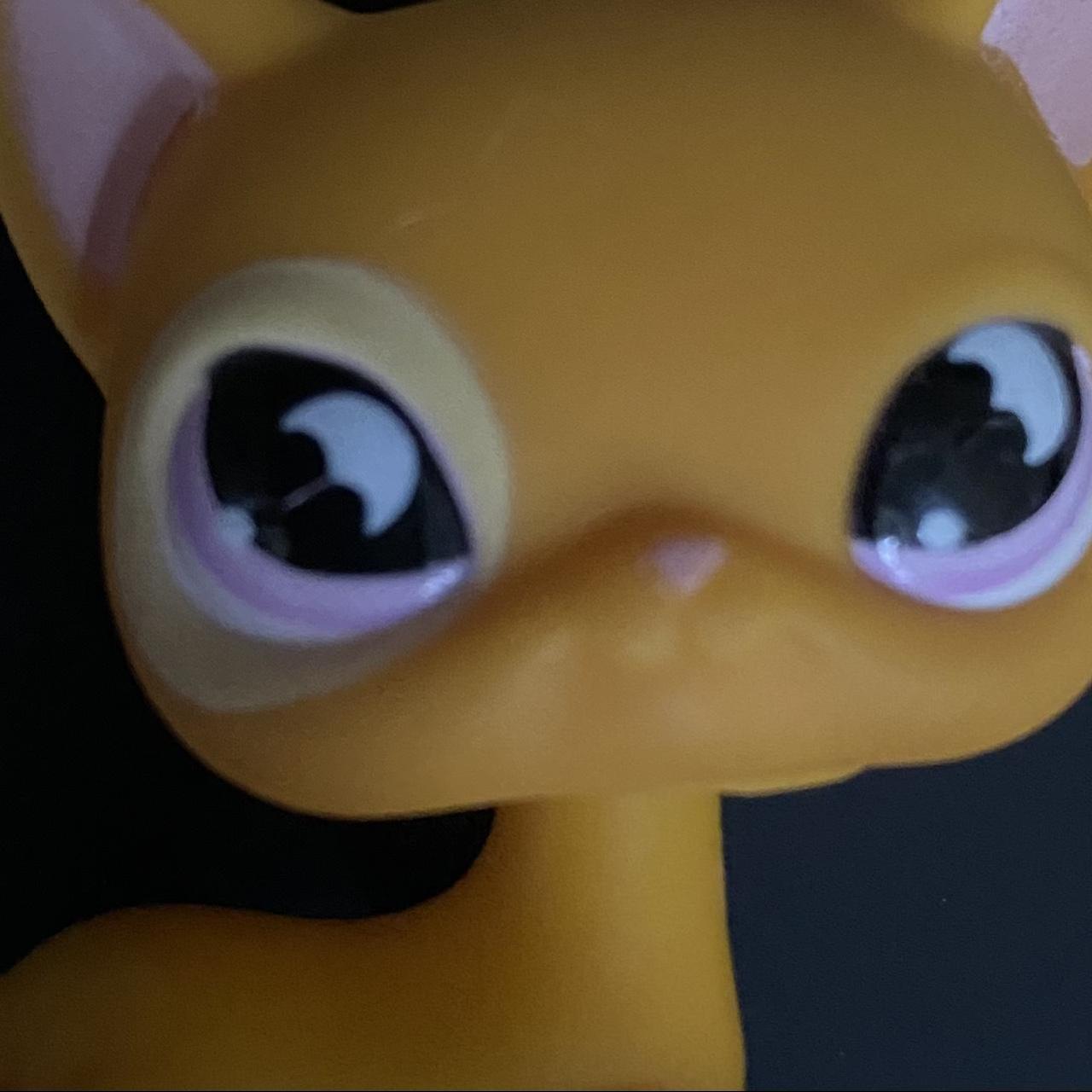 LPS Littlest pet shop orange shorthair cat #855 has... - Depop