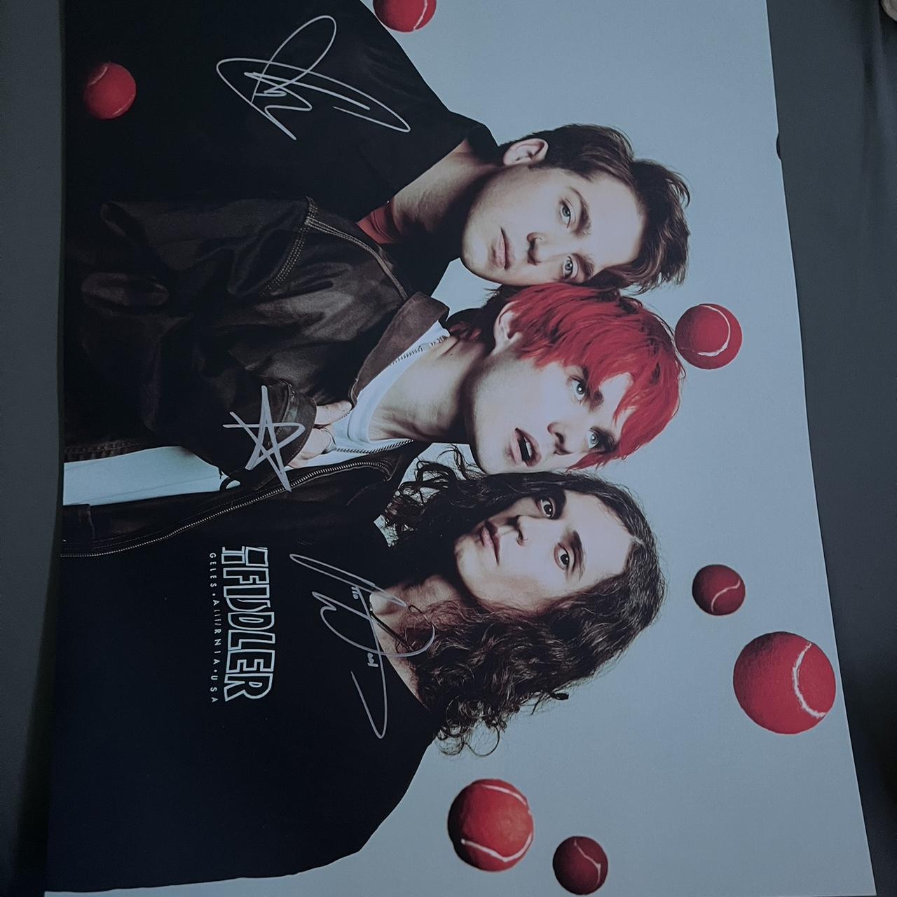 waterparks vip poster from the recent intellectual... - Depop