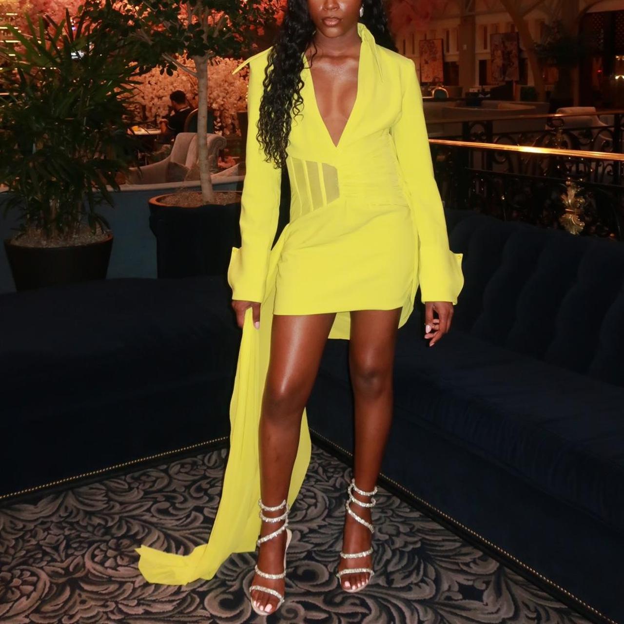 Hanifa Ari Draped Dress // worn once for birthday - Depop