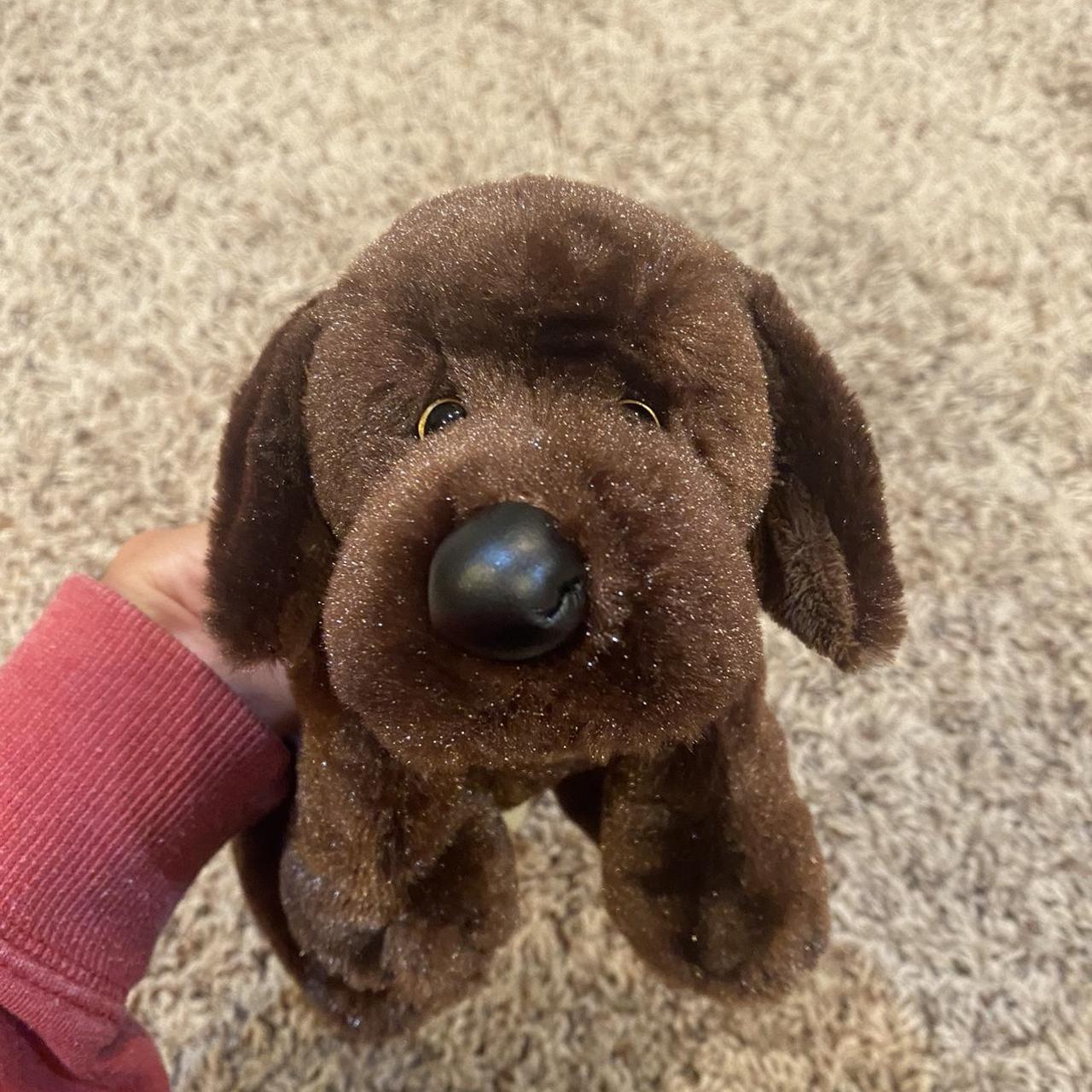 webkinz chocolate lab no tag, in good condition - Depop