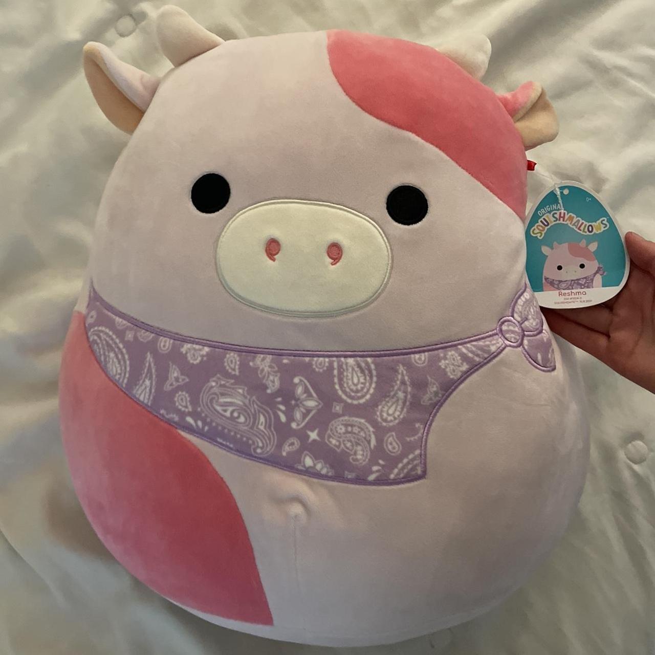 Pink Reshma cow squishmallow!! No trades please💗 Bnwt - Depop
