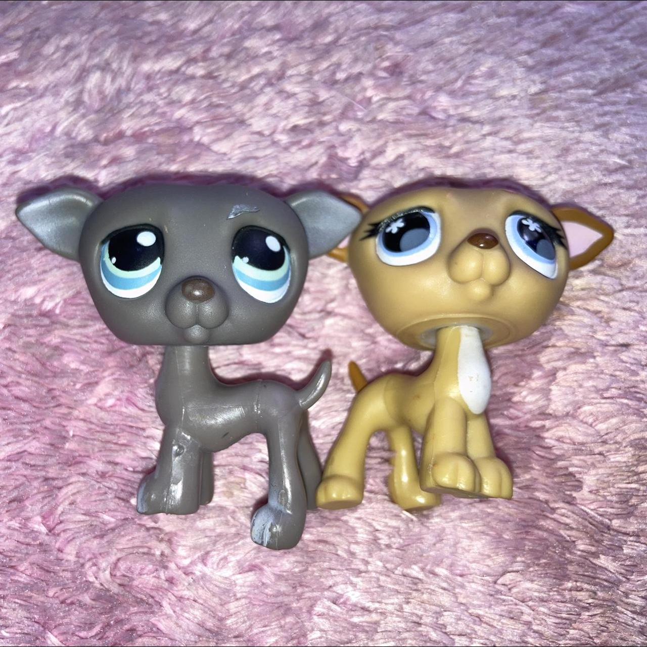 Set of two greyhound LPS Littlest Pet Shop Minor... - Depop