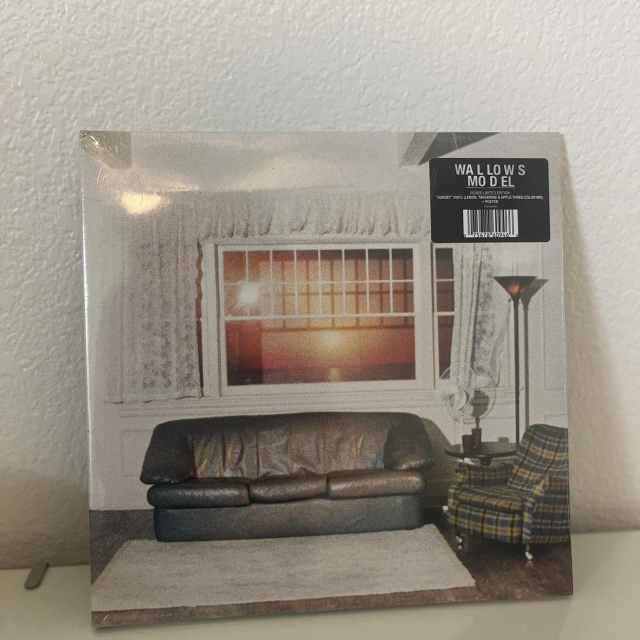 Signed Wallows ‘Model’ Sunset Exclusive Vinyl... - Depop
