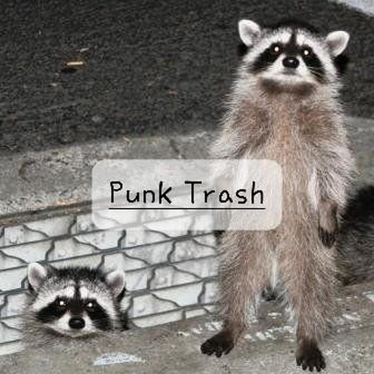 Punk Crafts >>> - Depop