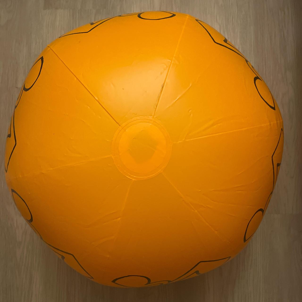 REX ORANGE COUNTY BEACH BALL WHO CARES TOUR BEACH... - Depop