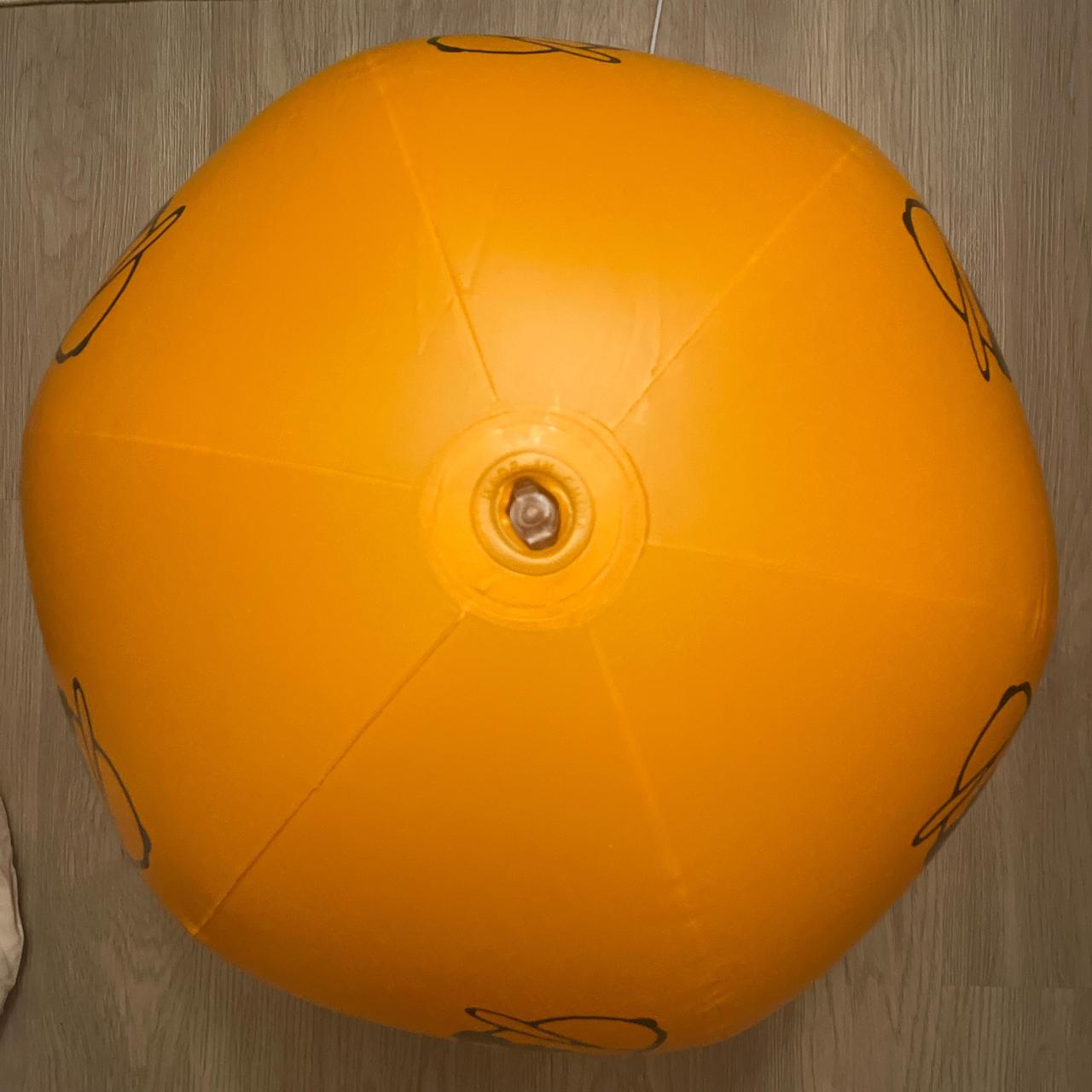 REX ORANGE COUNTY BEACH BALL WHO CARES TOUR BEACH... - Depop