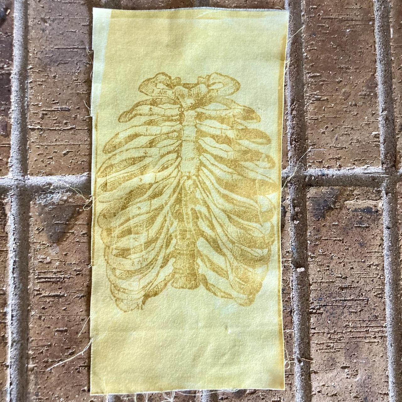 Solar dyed rib cage patch in chartreuse. Due to the... - Depop