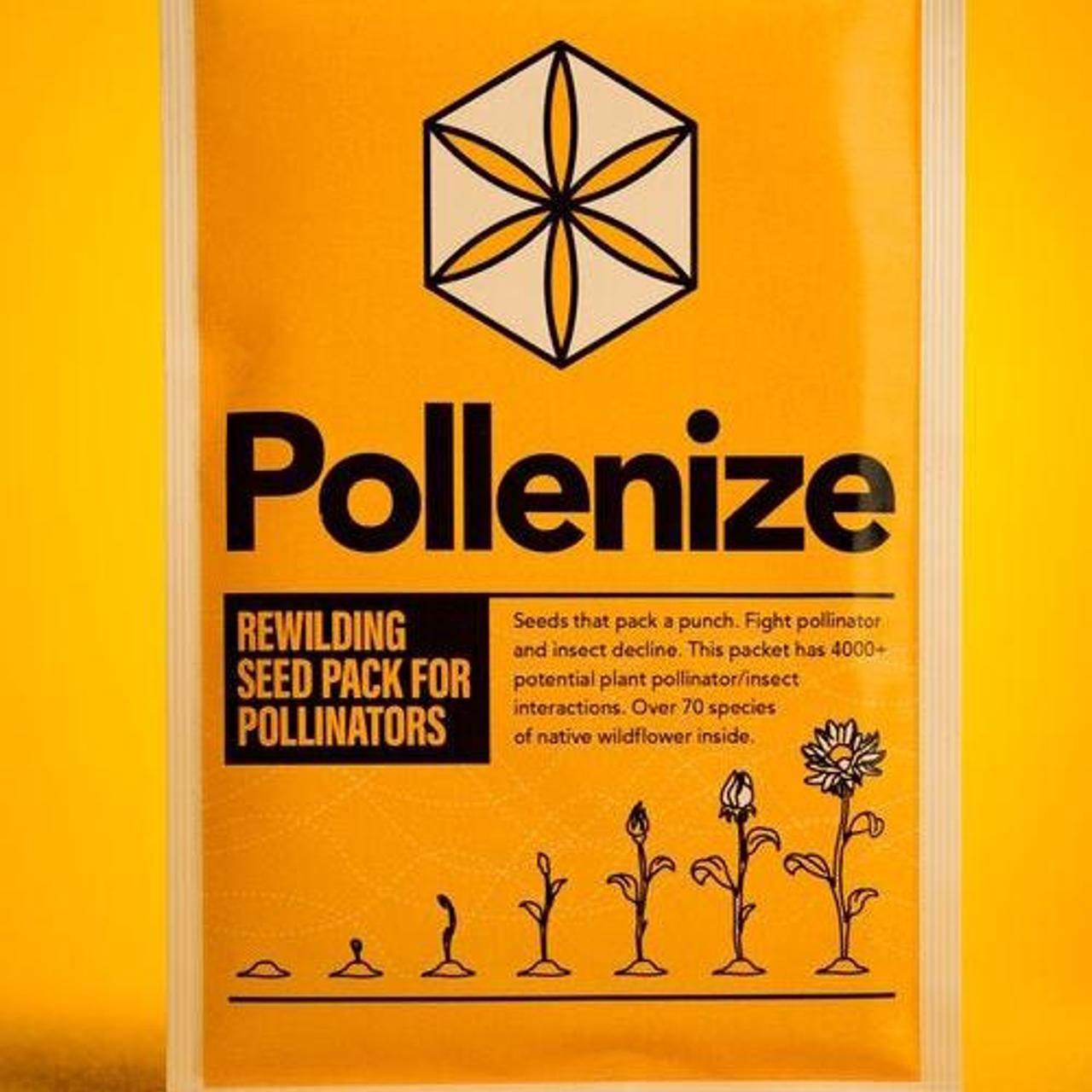 Pollenize Rewilding Seed Packet Seeds That Pack A... - Depop
