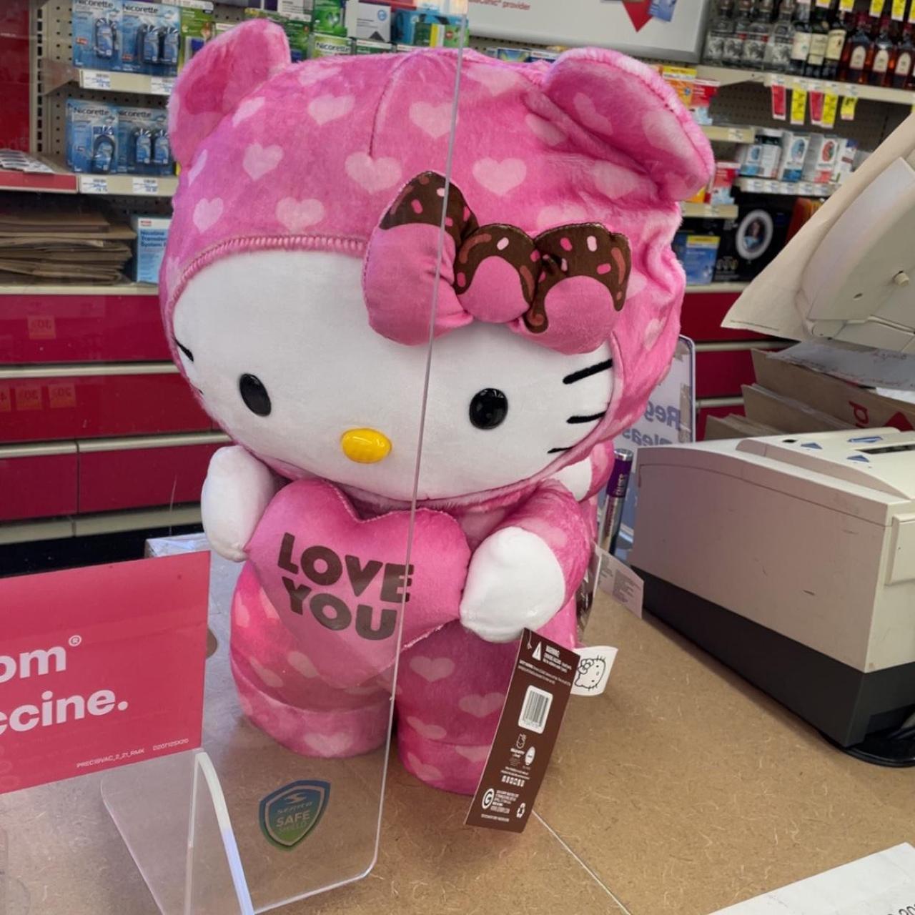 Hello Kitty Valentines Day pink plush CVS... - Depop
