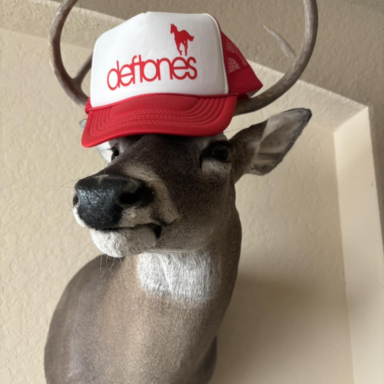 Deftones trucker cap Worn twice at most #metal... - Depop