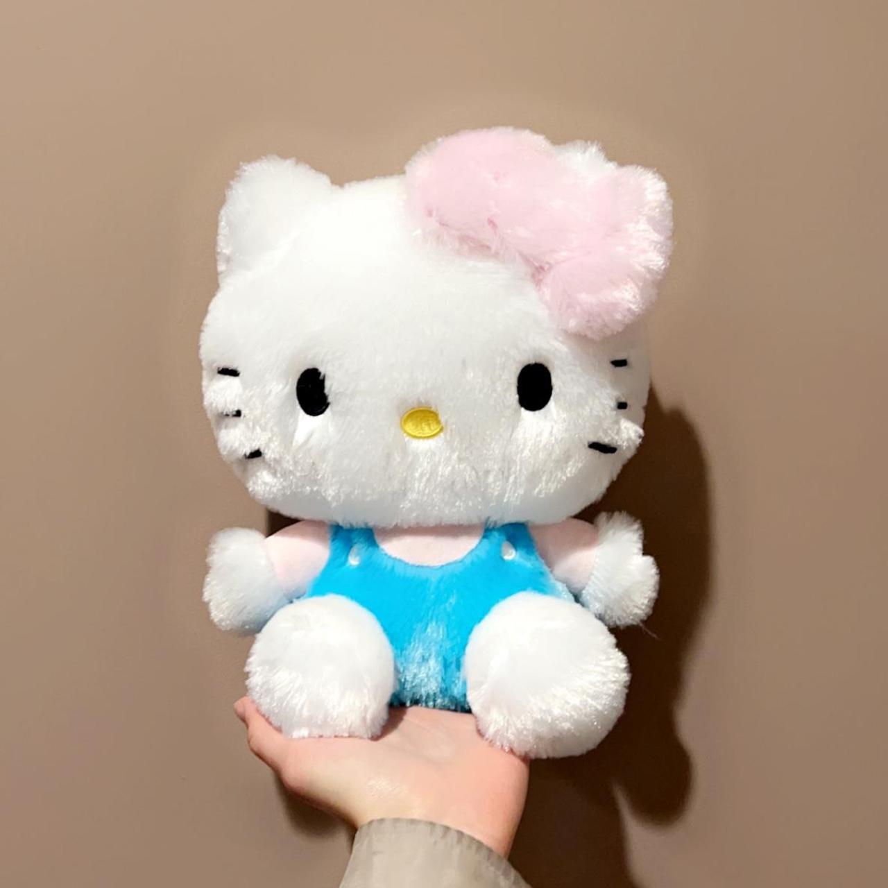 Sanrio Blue and Pink Stuffed-animals | Depop
