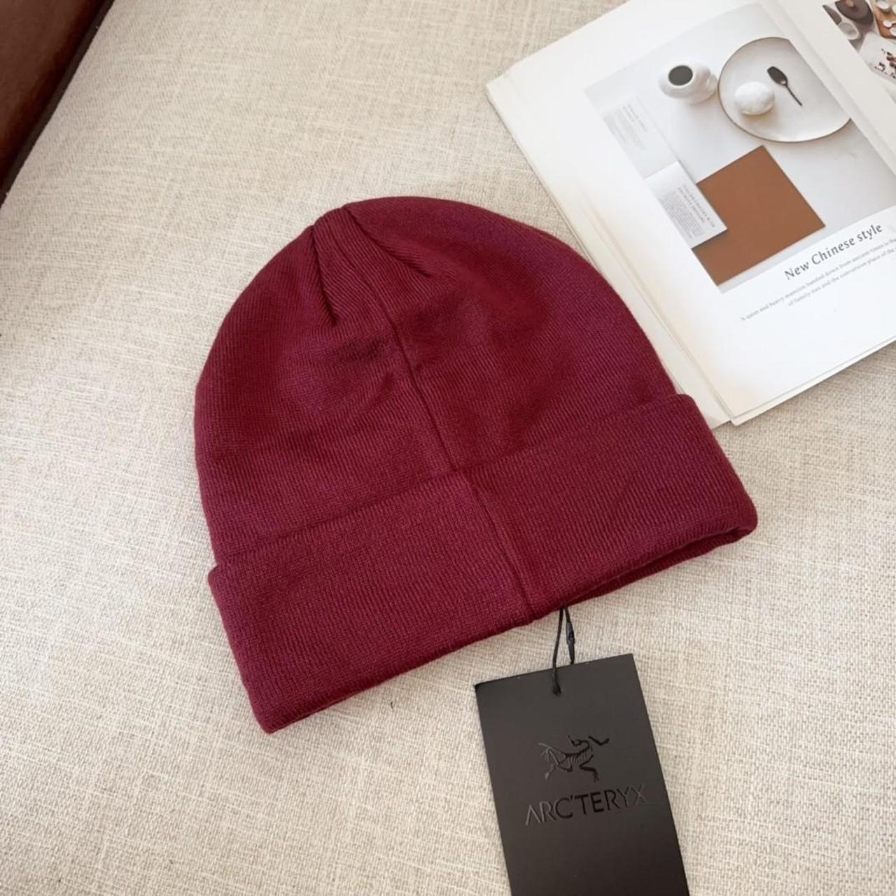 Arc'teryx unisex Hat Archaeopteryx bird word toque... - Depop