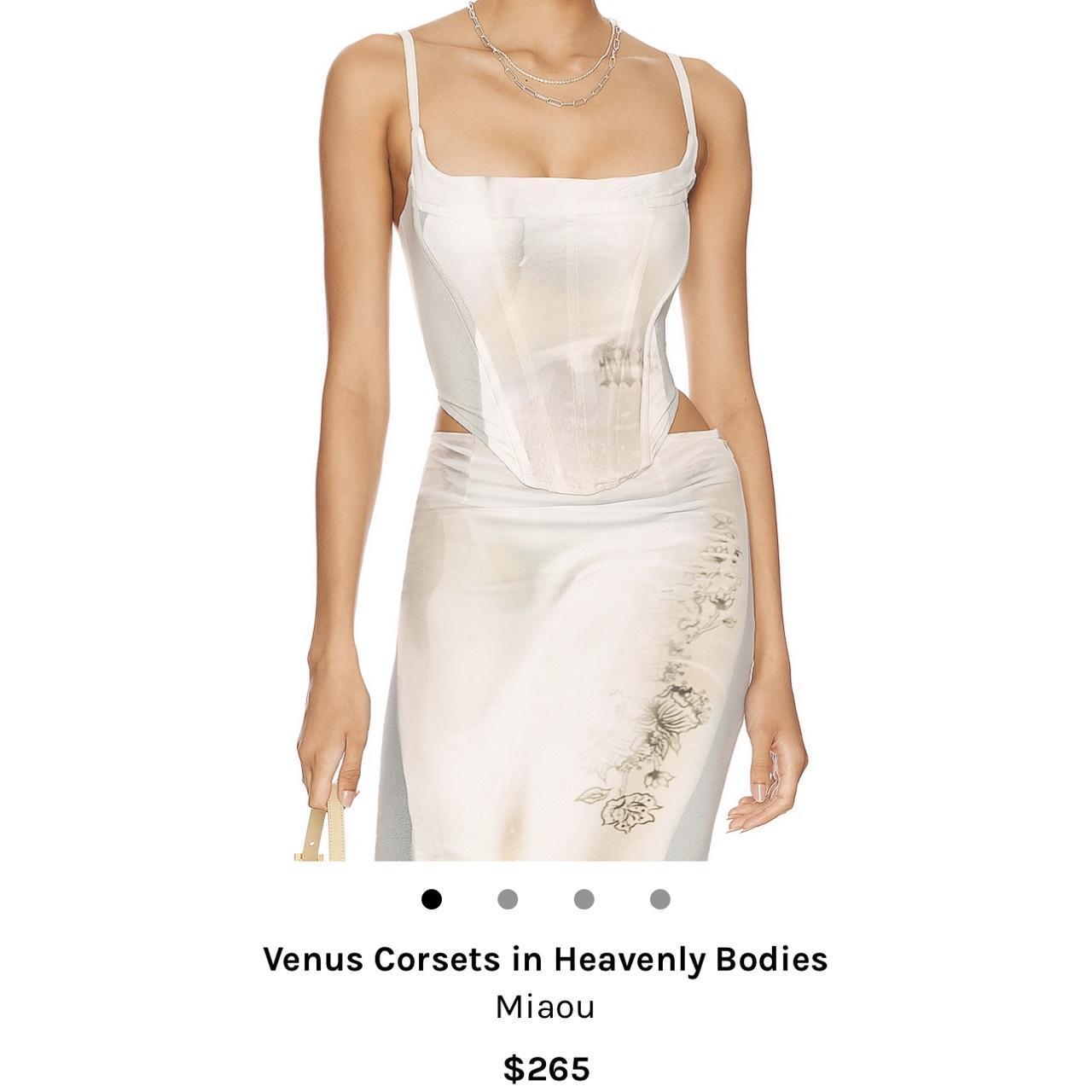 MIAOU heavenly body corset ☁️ Worn once! Originally... - Depop