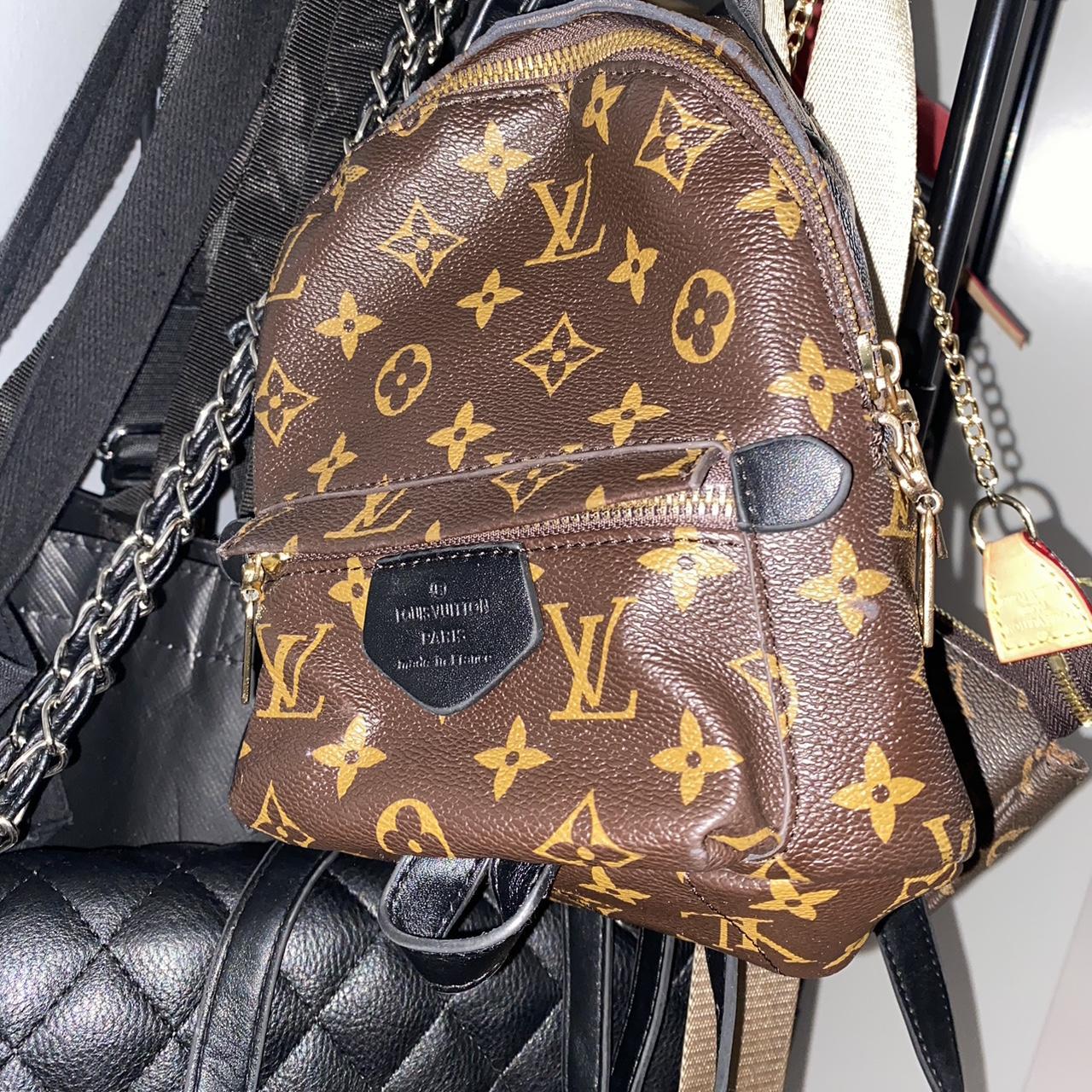 Palm Springs mini LV bag // little dirty on the... - Depop
