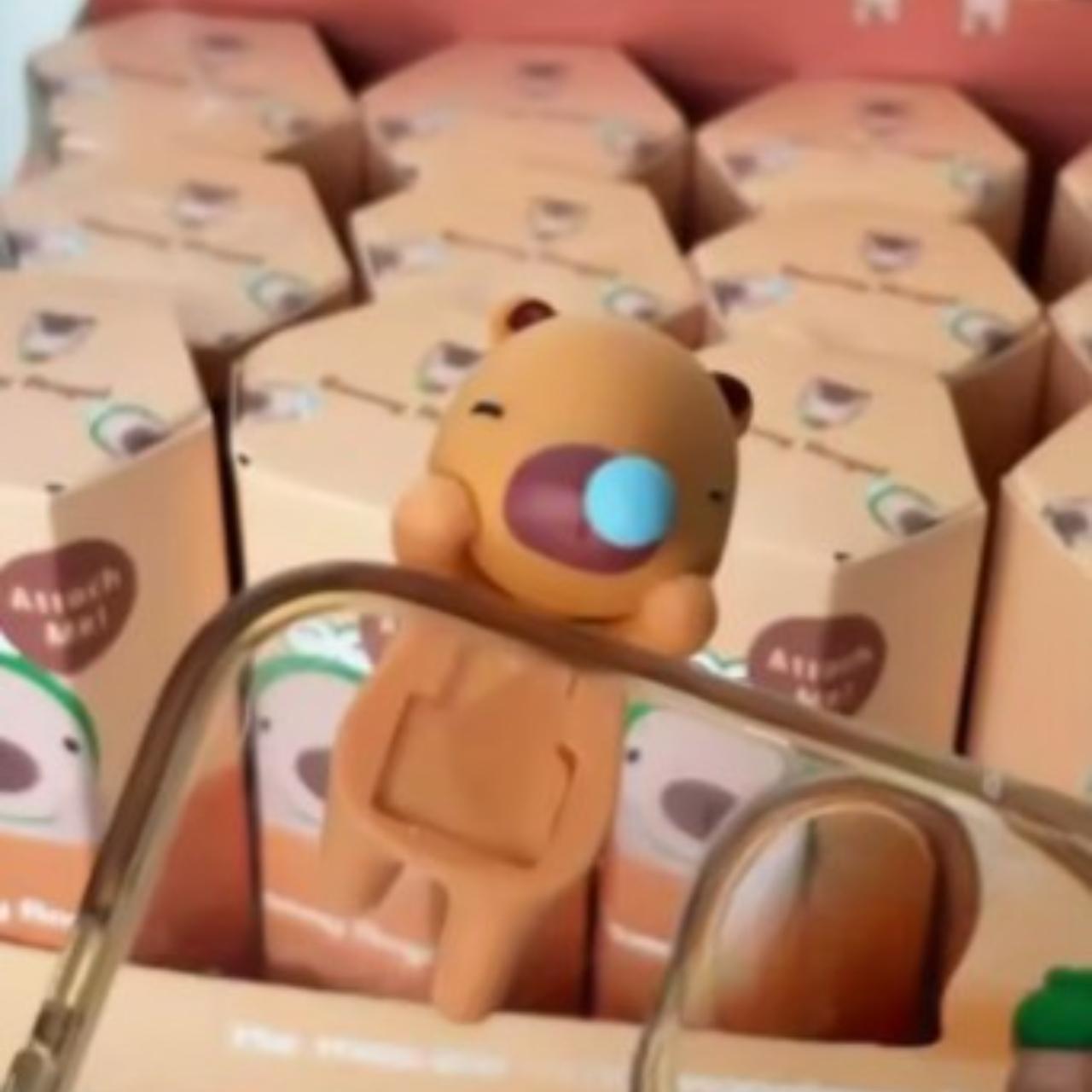 Capybara Hippers mystery blind box superr cute | Depop