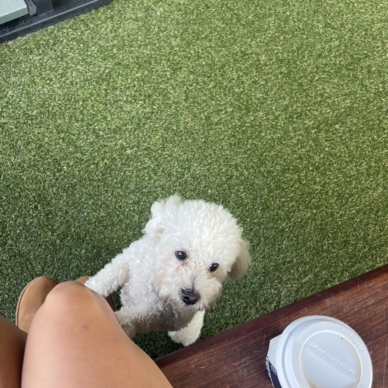 bundle pandora - Depop