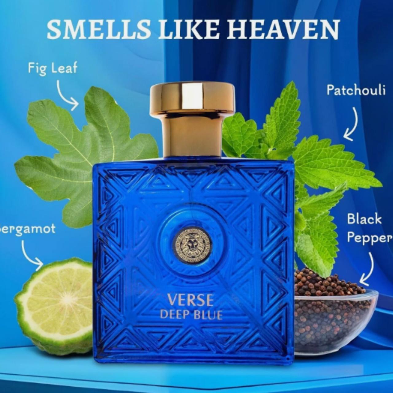 Verse Deep Blue Perfume for Men, an Eau de Parfum... | Depop