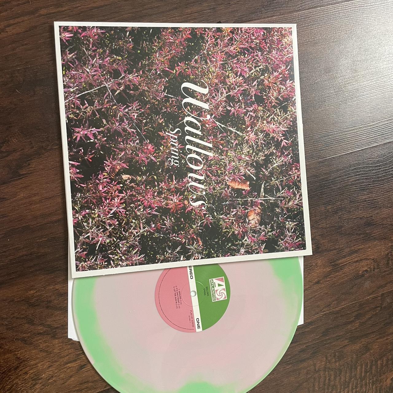 Wallows Spring LP Vinyl, never used condition: Like... - Depop