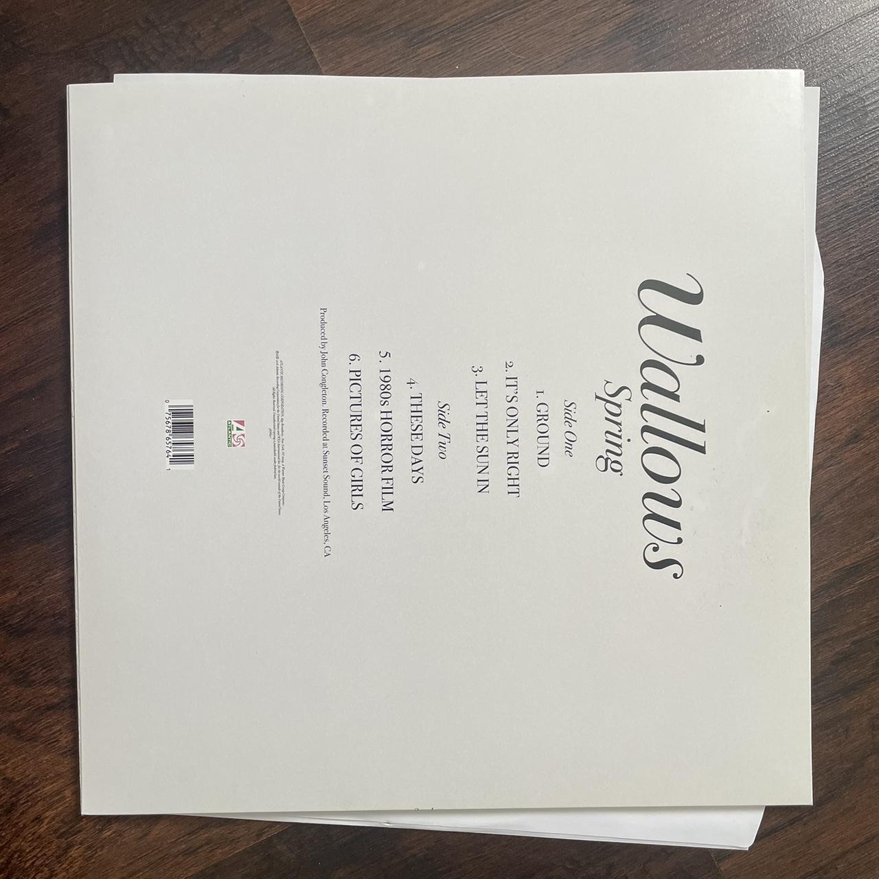 Wallows Spring LP Vinyl, never used condition: Like... - Depop