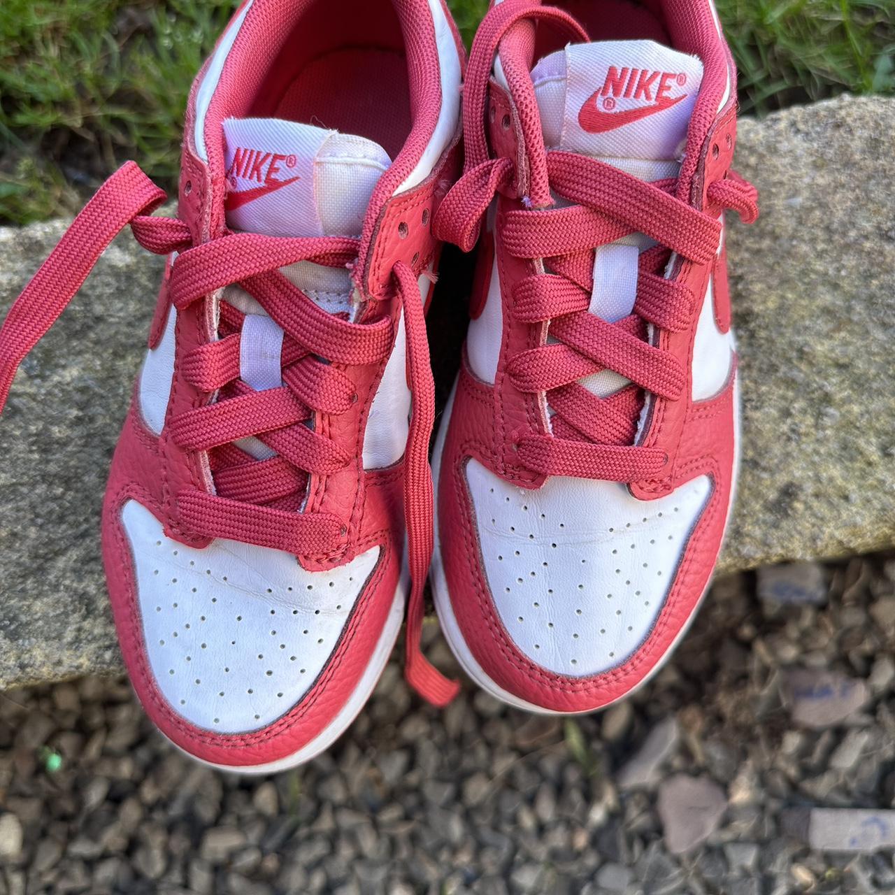 Genuine Salmon Nike Dunkscant Get This Colour Depop