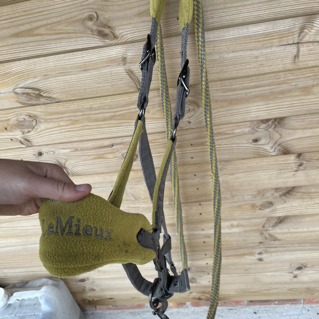 lemieux dijon size full headcoller and lead rope... - Depop