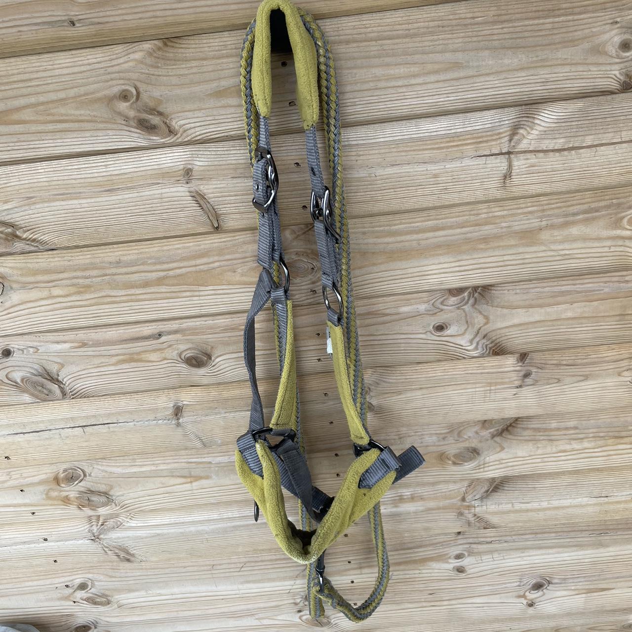 lemieux dijon size full headcoller and lead rope... - Depop