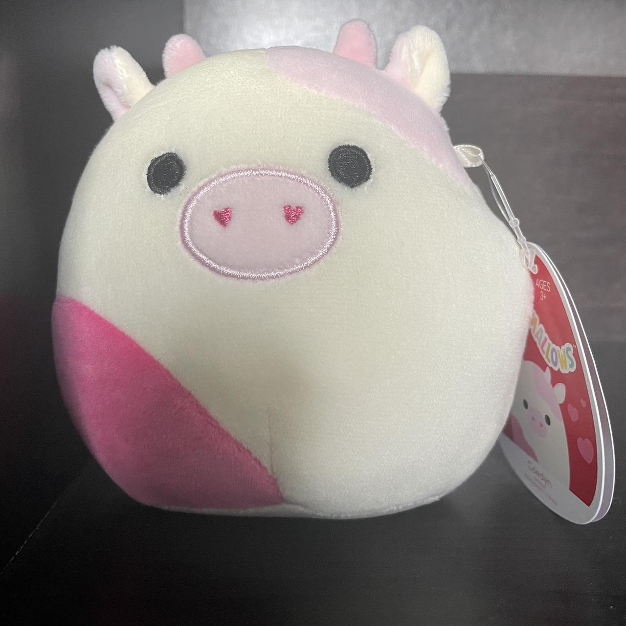 JUST LOWERED THE PRICE ♥️ Super cute Squishmallow... - Depop