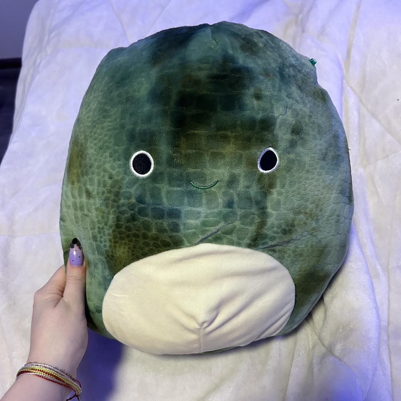 turtle squishmallow • used • price $8 • price is... | Depop
