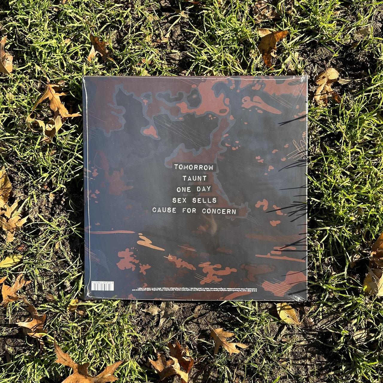 Lovejoy Anvil Cat Studio 4 Vinyl! -Acoustic album... - Depop