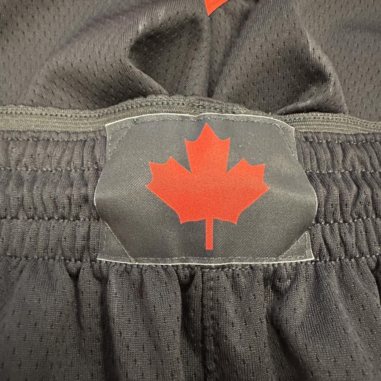 Toronto raptors Nike air Jordan basketball shorts... | Depop