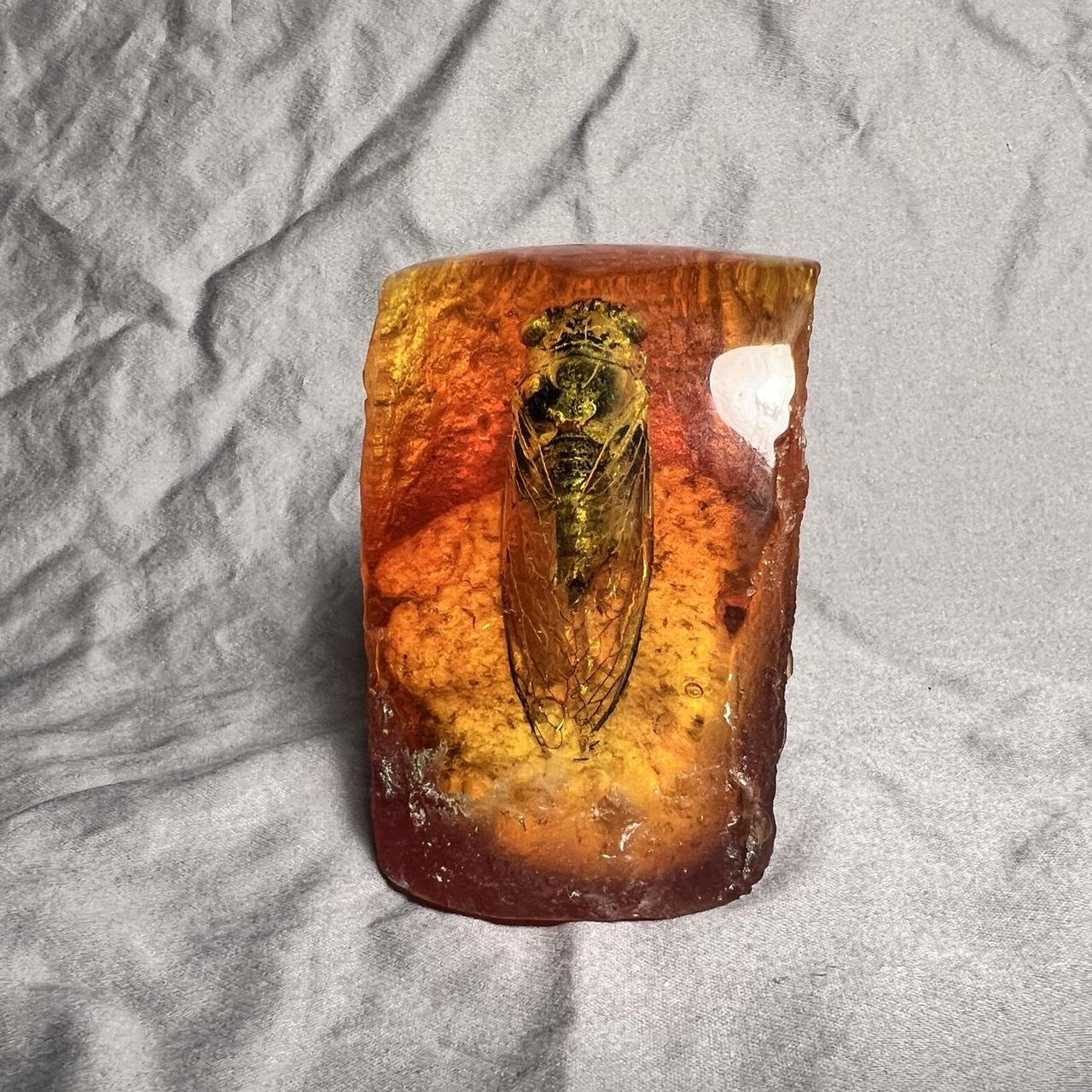 Cicada on rock encased in yellow resin #gem... - Depop