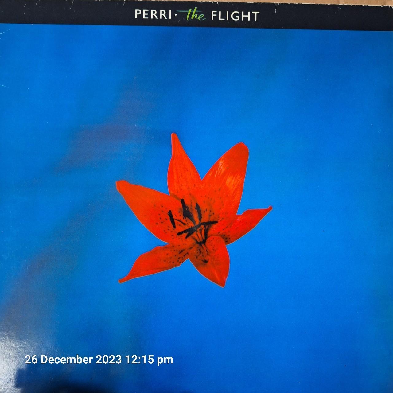 Vinyl LP record - 'The Flight' - Perri Plays well.... - Depop