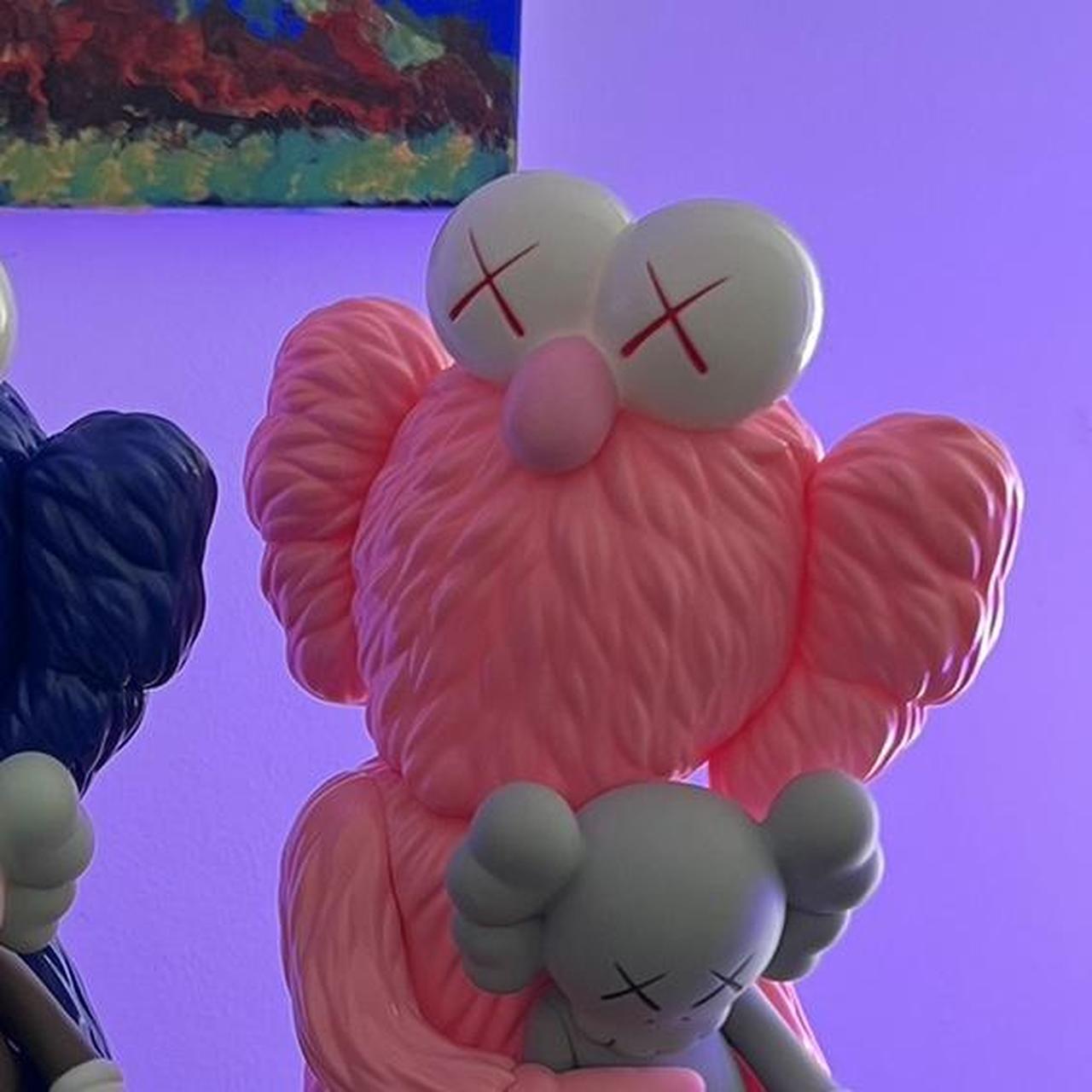 Pink Kaws “Take” - Depop