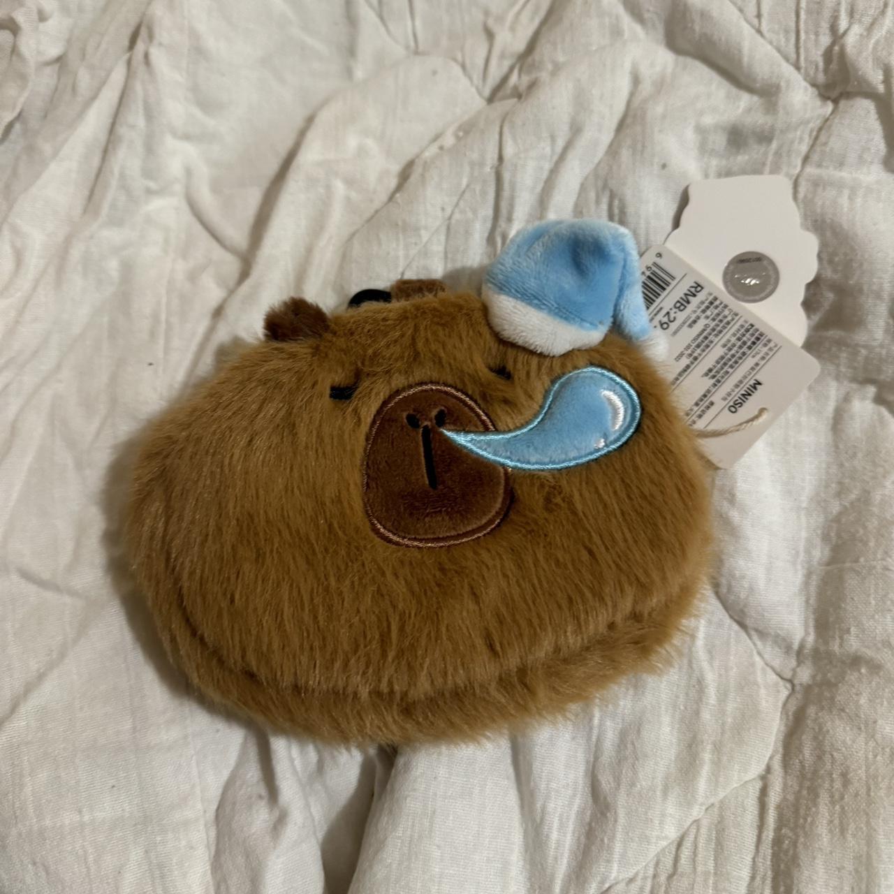 Capybara coin purse - Depop