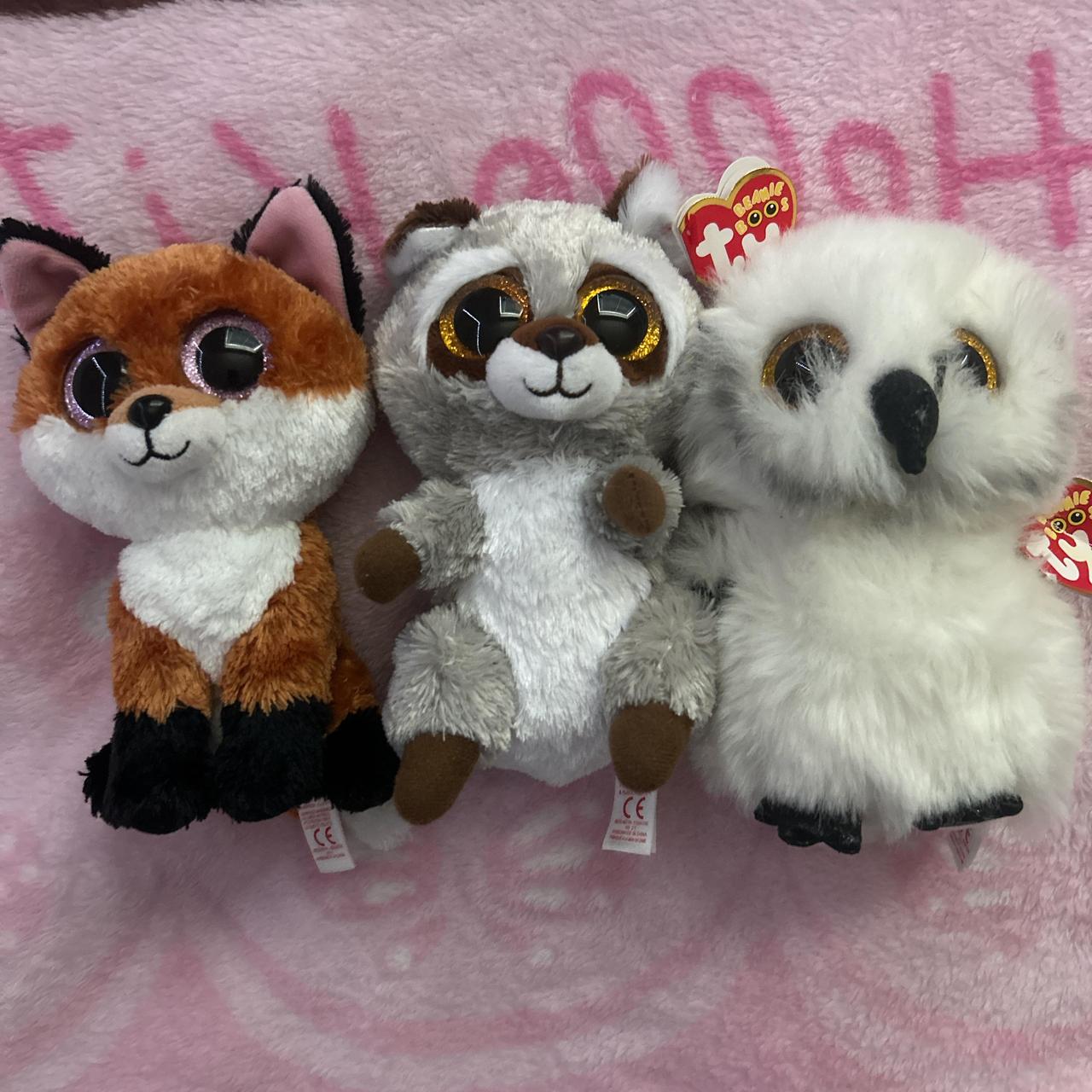 Beanie Boo bundle Fox, raccoon, and... | Depop