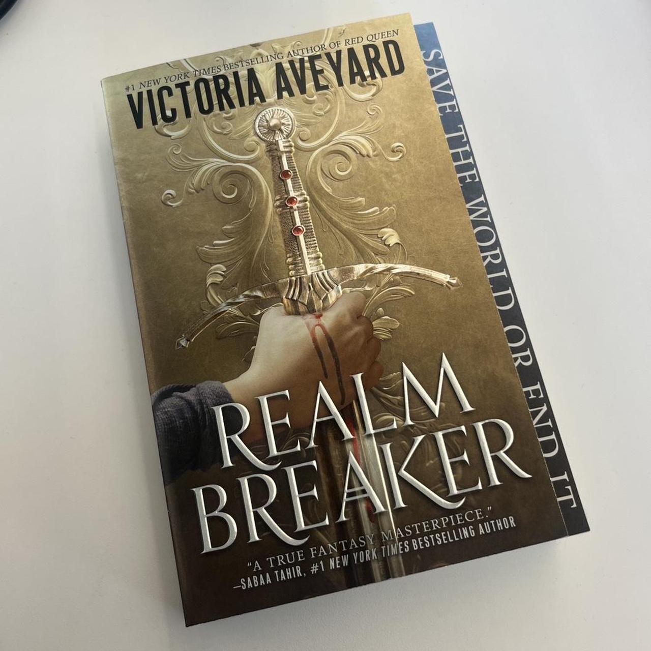 REALM BREAKER ROOM BY VICTORIA AVEYARD ⁃ brand... - Depop
