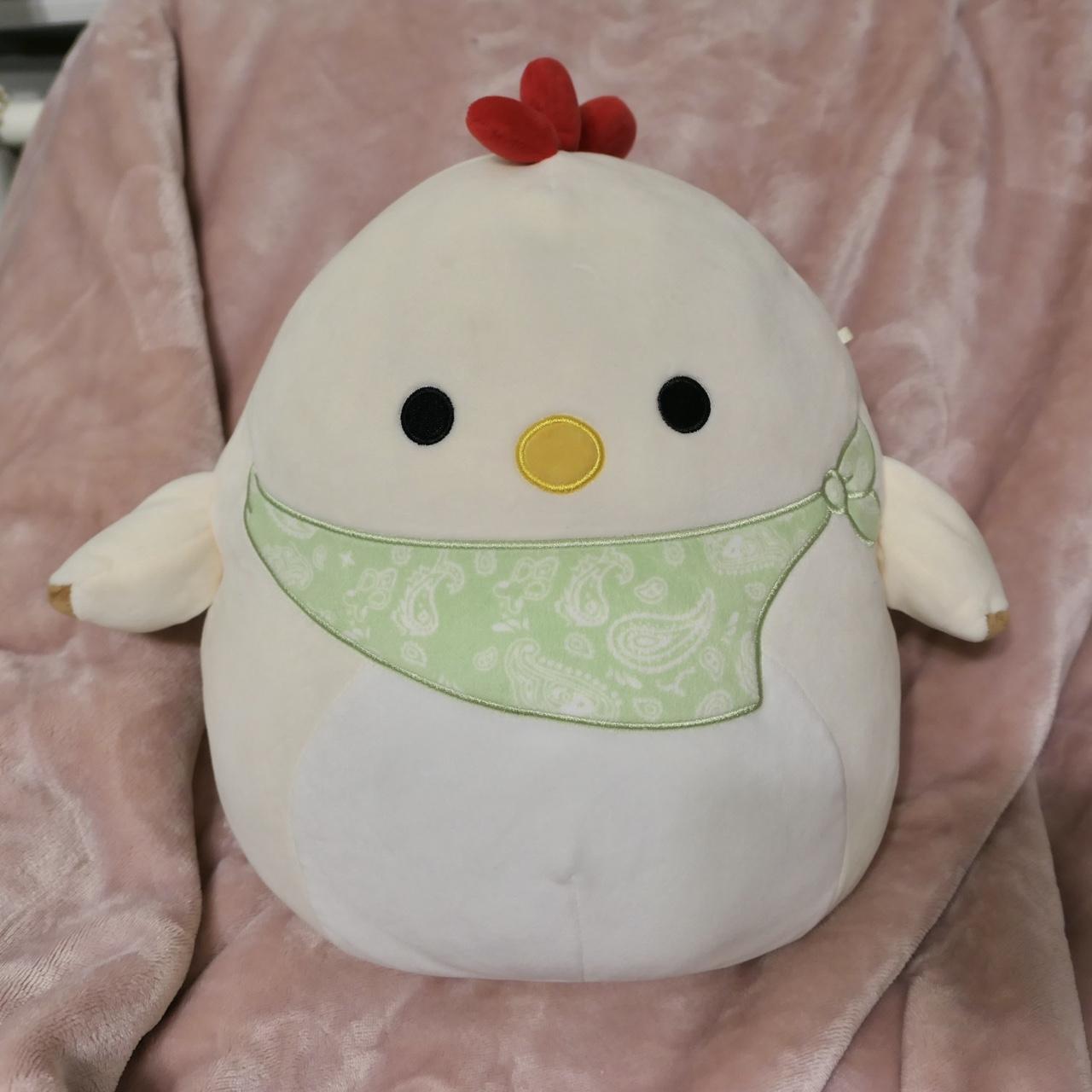 12 inch Squishmallow todd Chicken (NO STAINS, SMOKE... - Depop