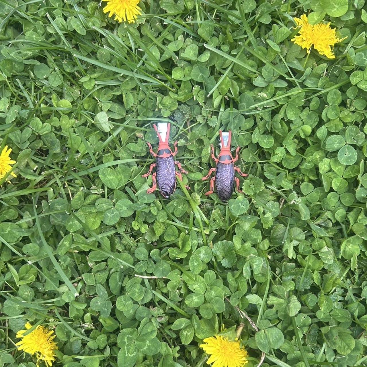 Cockroach Hair Clips #hairaccessories | Depop