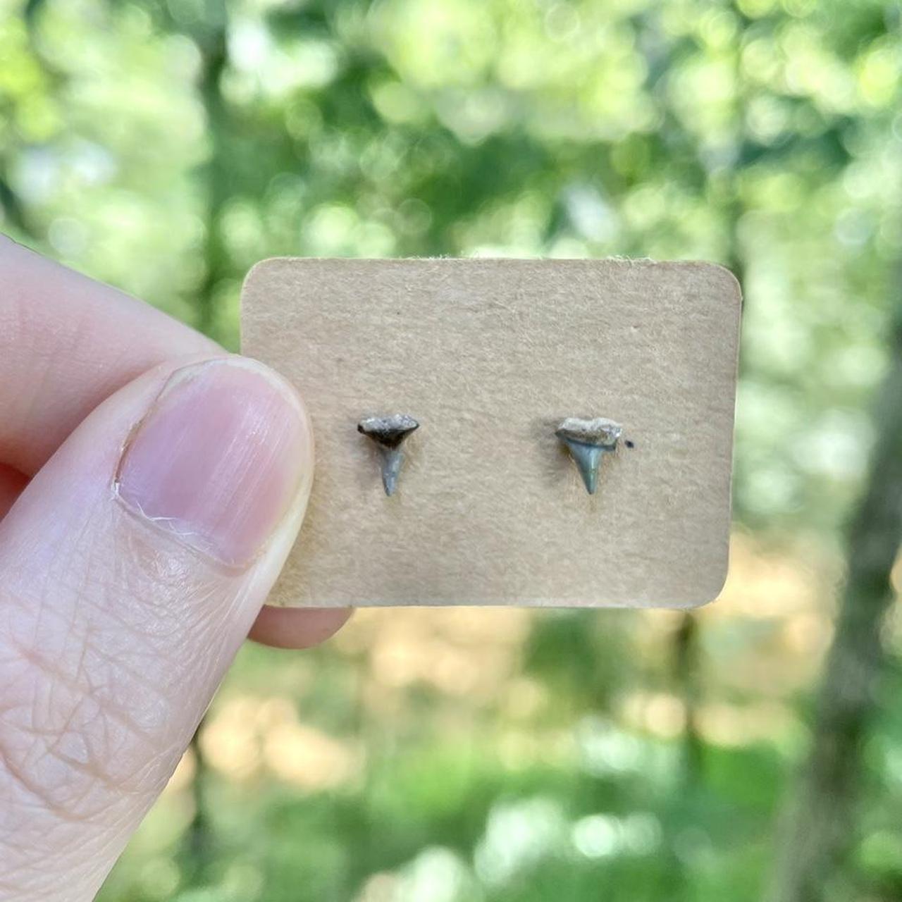 FREE shipping 🥳 - MINI Shark tooth stud... - Depop