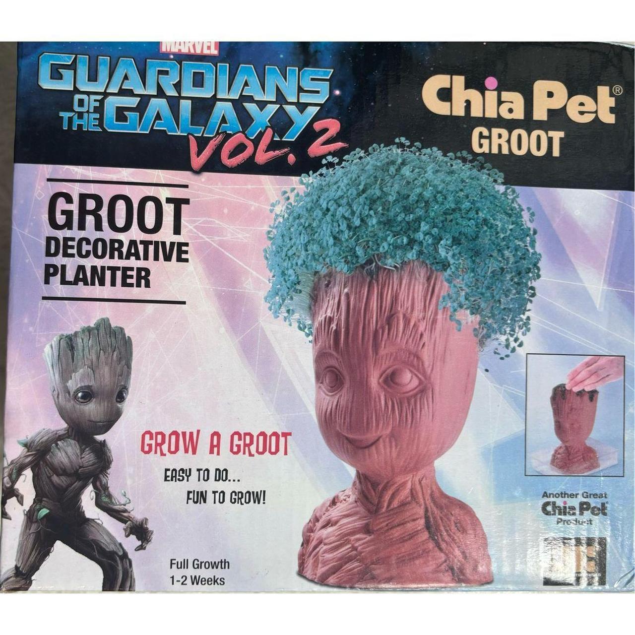 Decorative planter contains pottery planter,seeds,... - Depop